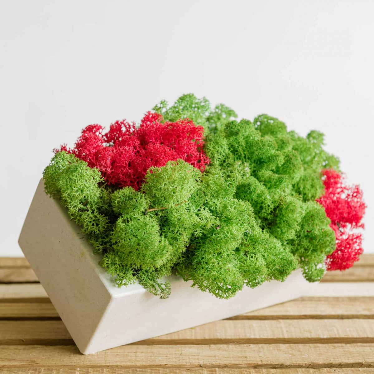 Moosbilder mit Holz - Moosbild von Ekomoss