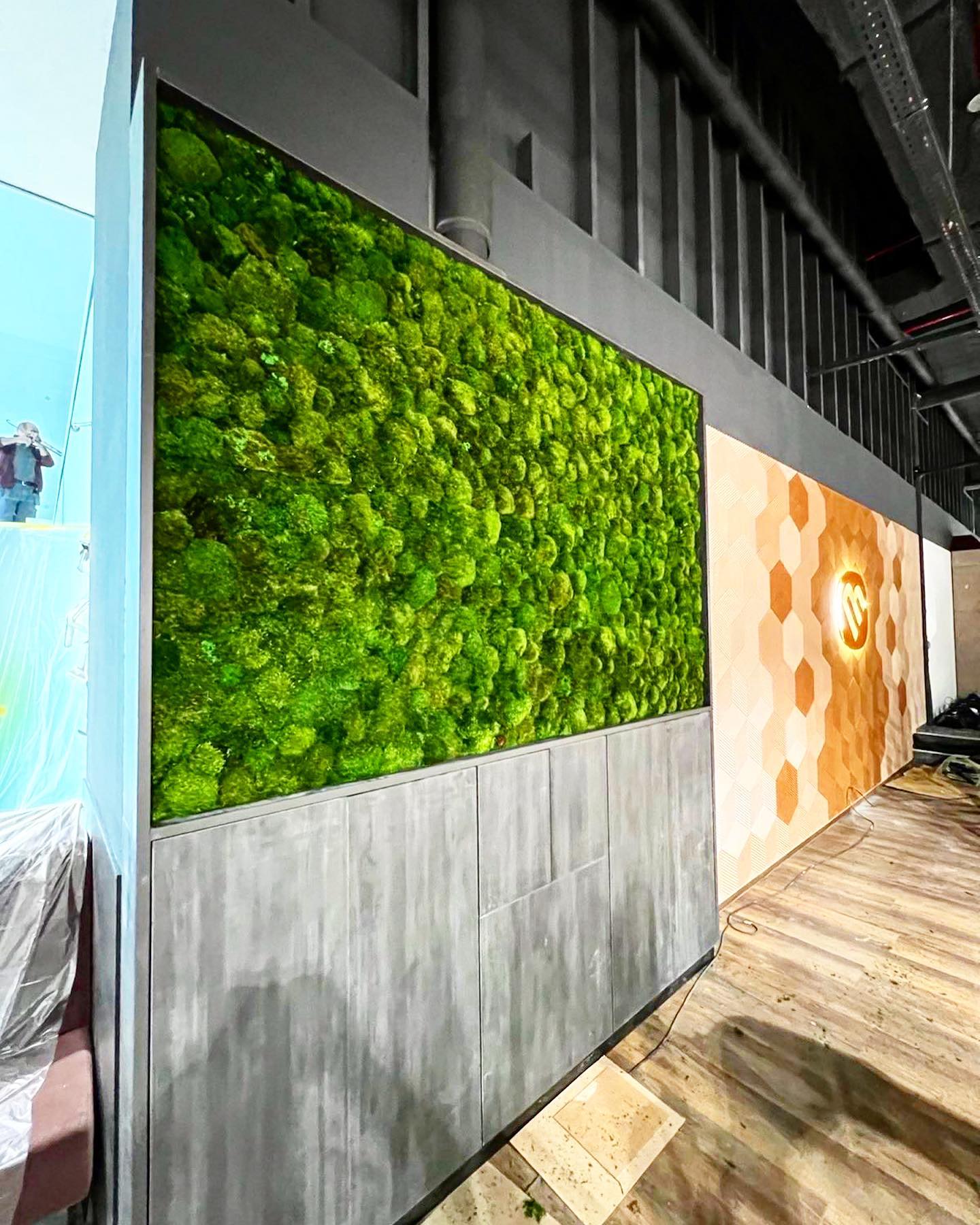 🍀 Gemälde aus Moos und Herstellung von Wänden aus Moos