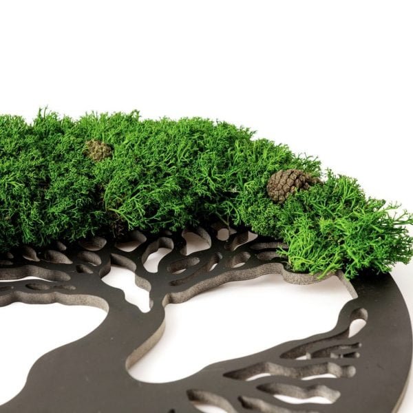 Moosbilder | Moos Wandbild mit Design von Ekomoss