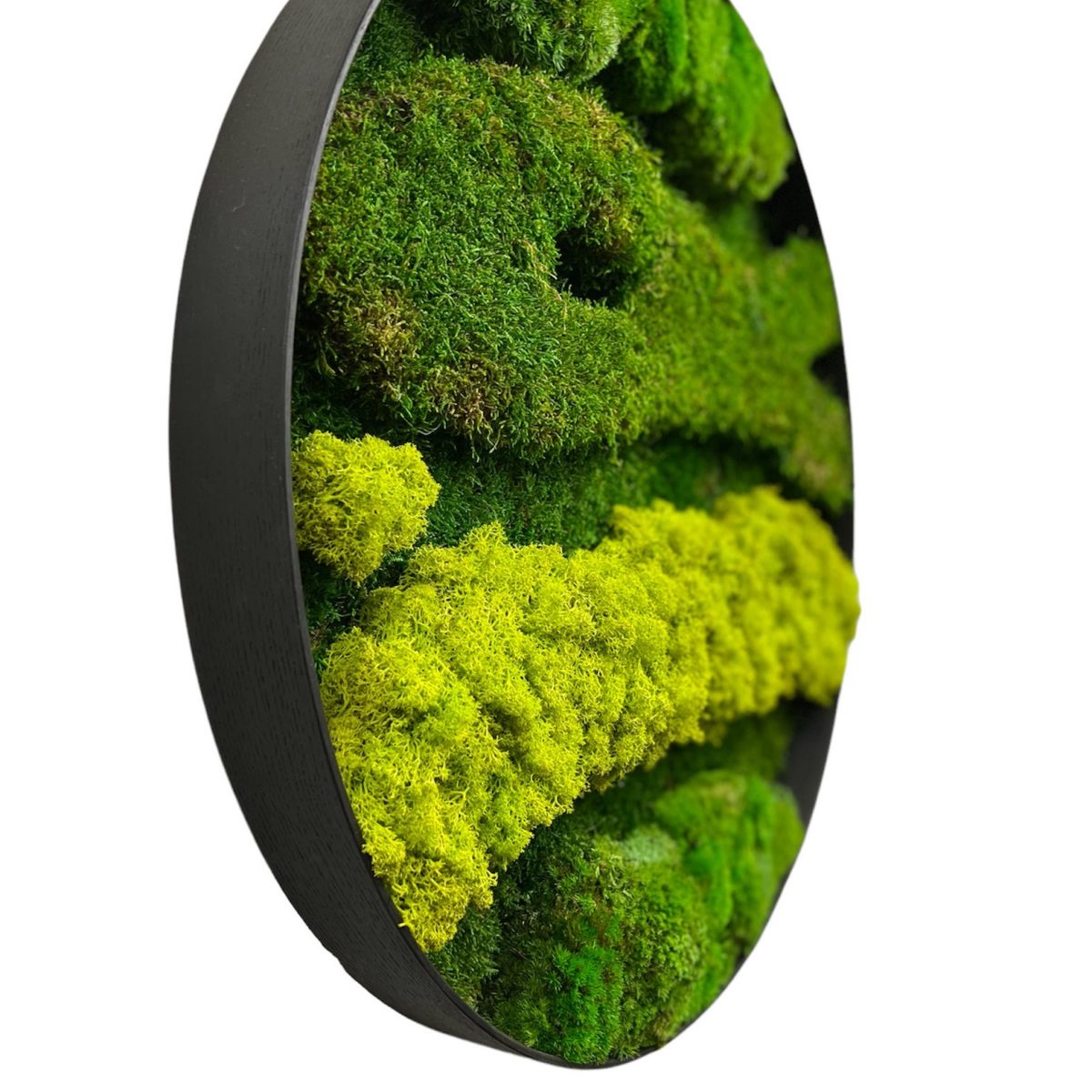 Moosbild - Moosbaum mit Blumen und Beleuchtet