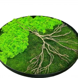 Moosbilder mit Holz - Moosbild von Ekomoss