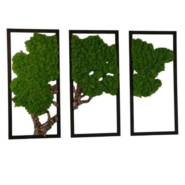 Moosbild 3er Set - Moosbaum mit Islandmoos und Korkholz