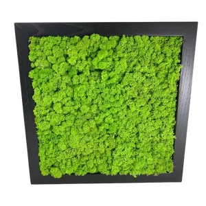 Moosbilder | Islandmoos Bild - Wandbild mit echtem Moos