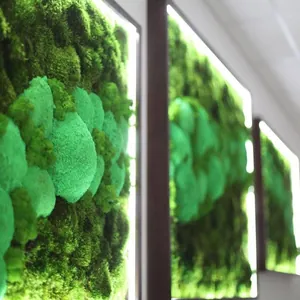 Moosbild Beleuchtet mit LED | Moosbilder von Ekomoss