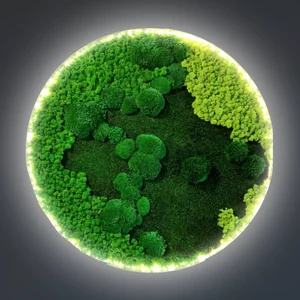 Moosbild Rund – Natürliche Runde Moosbilder von Ekomoss